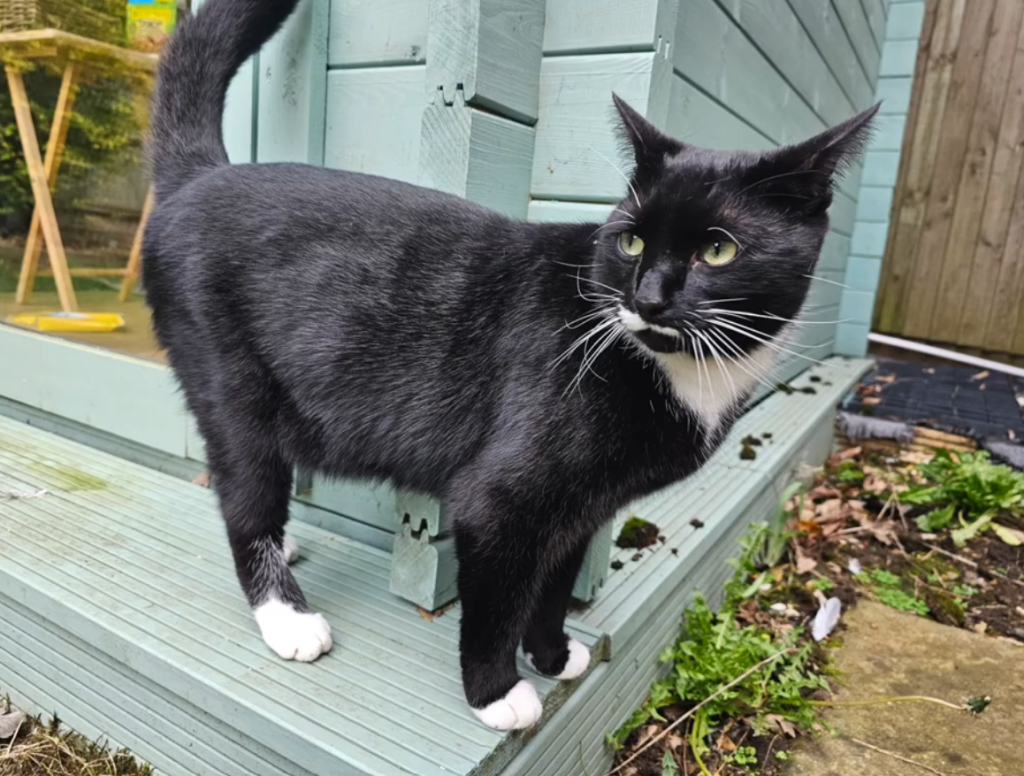 Simu 10 Zenye Kamera Nzuri na Bora 2023-2024 | SimuNzuri